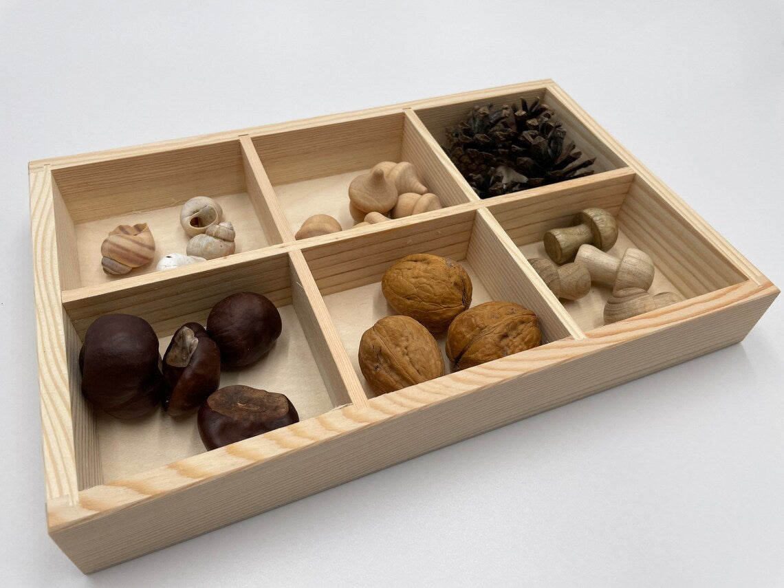 Wood Tray With Dividers – Fabulous Designs